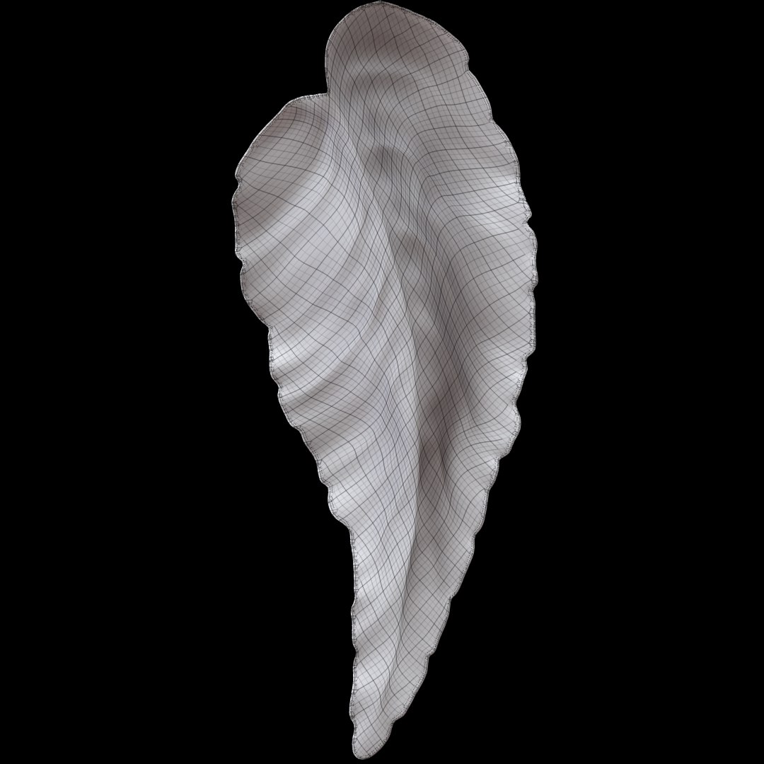 3d Model Leaf