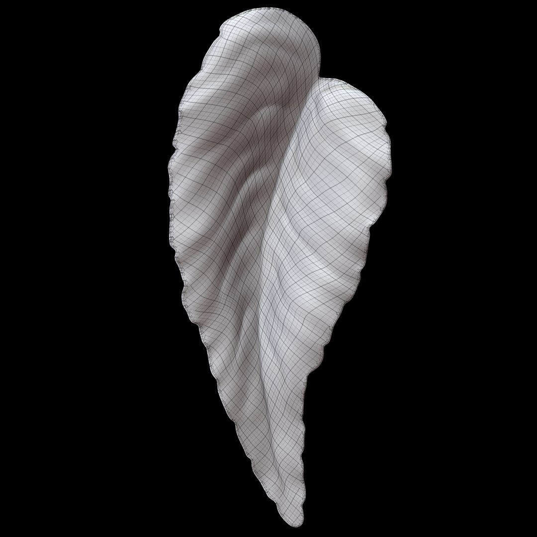 3d Model Leaf