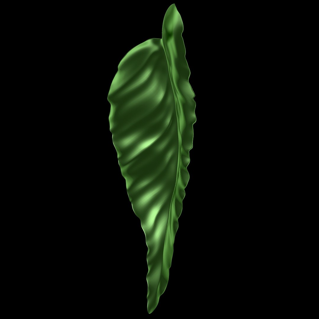 3d Model Leaf