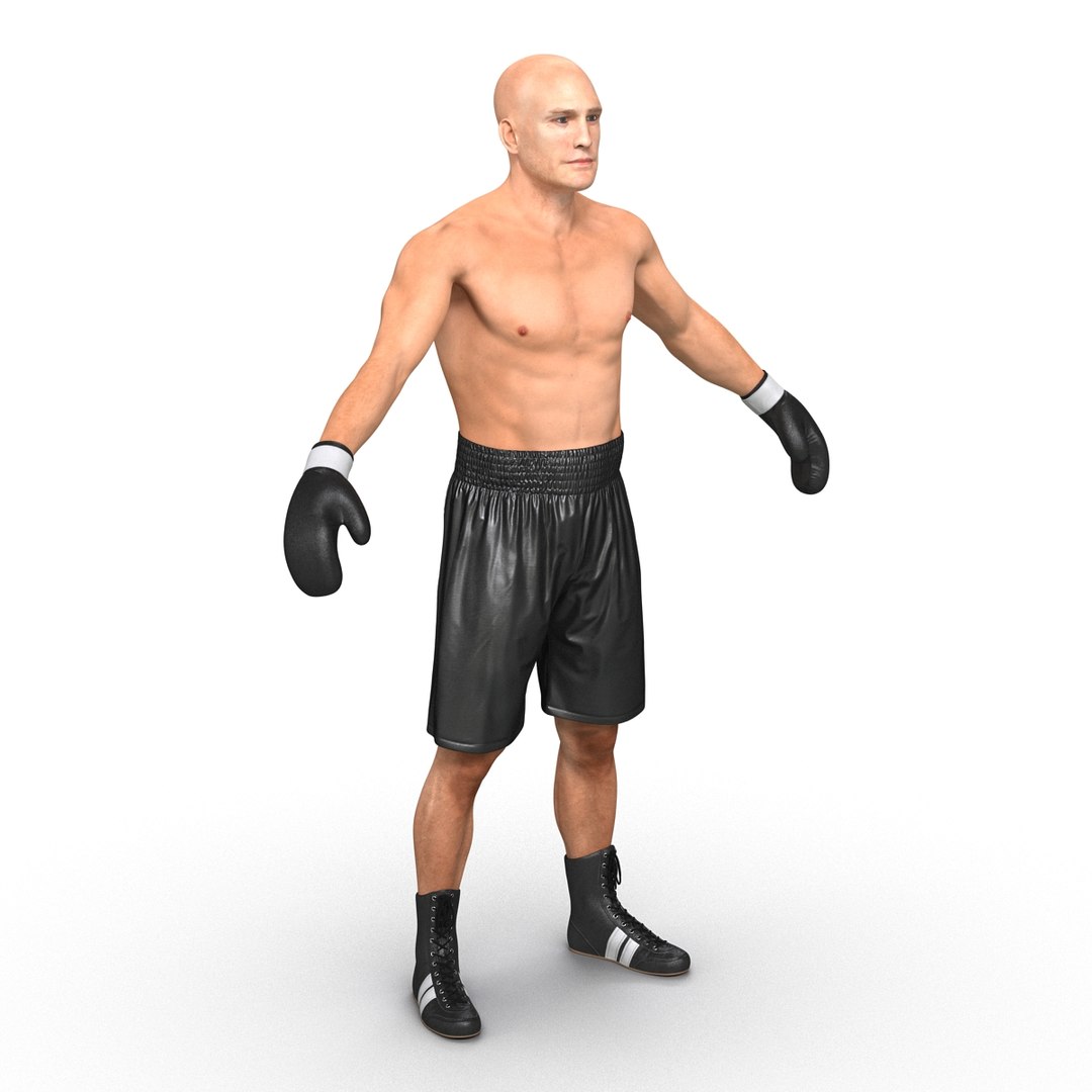 adult boxer man rigged 3d model
