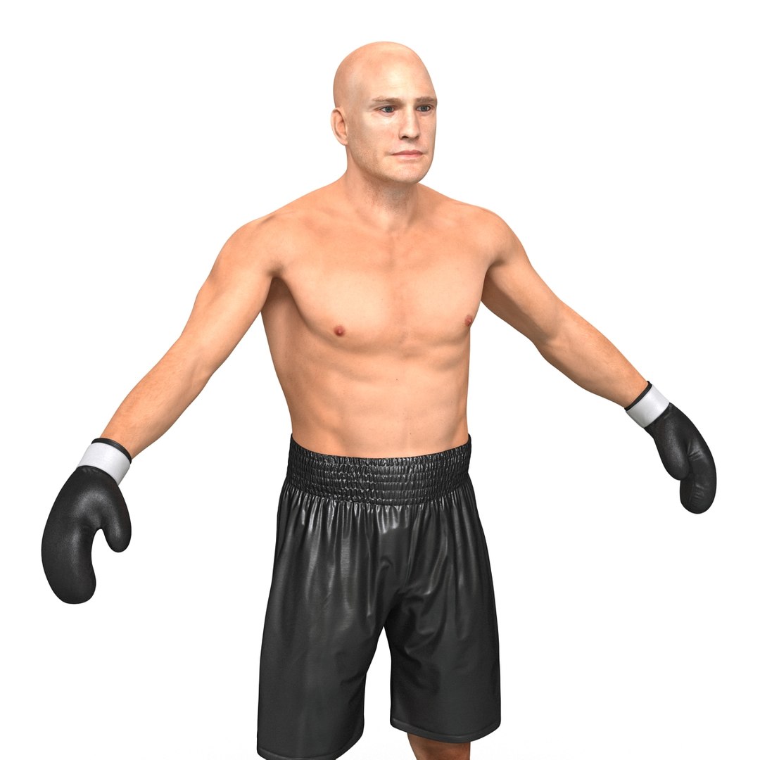 adult boxer man rigged 3d model