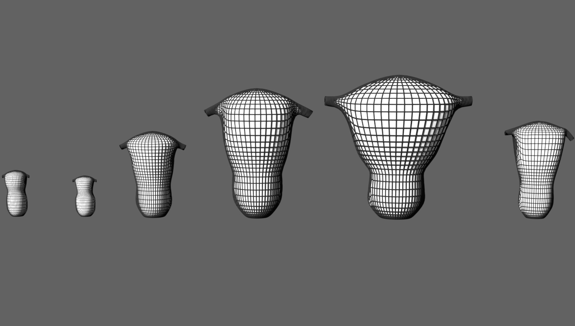 3D Uterus Different Stages Development - TurboSquid 1481240