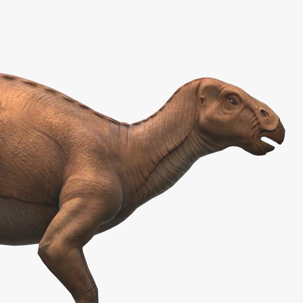 3d corythosaurus dinosaur animation model