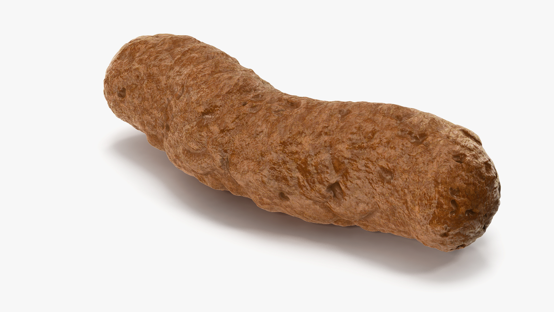 Little Crap Natural 3D Model - TurboSquid 1731804