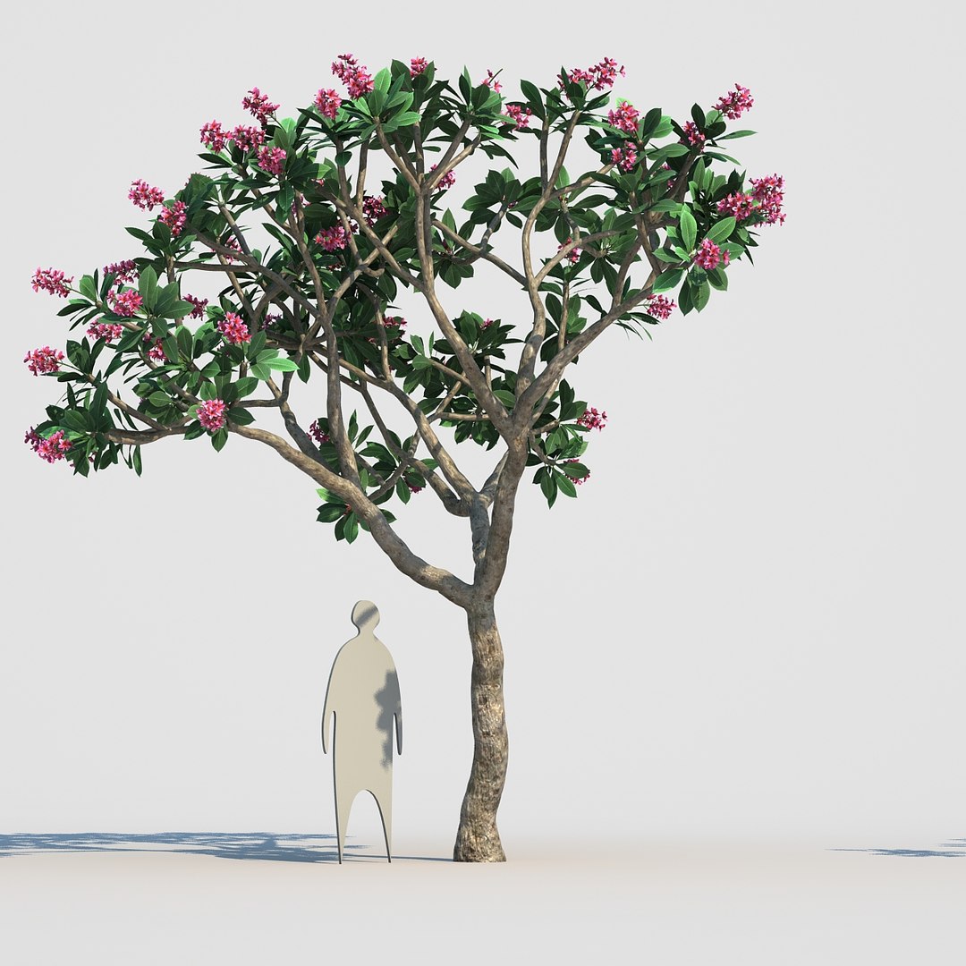 Flower 10 Tree Model - TurboSquid 1154593