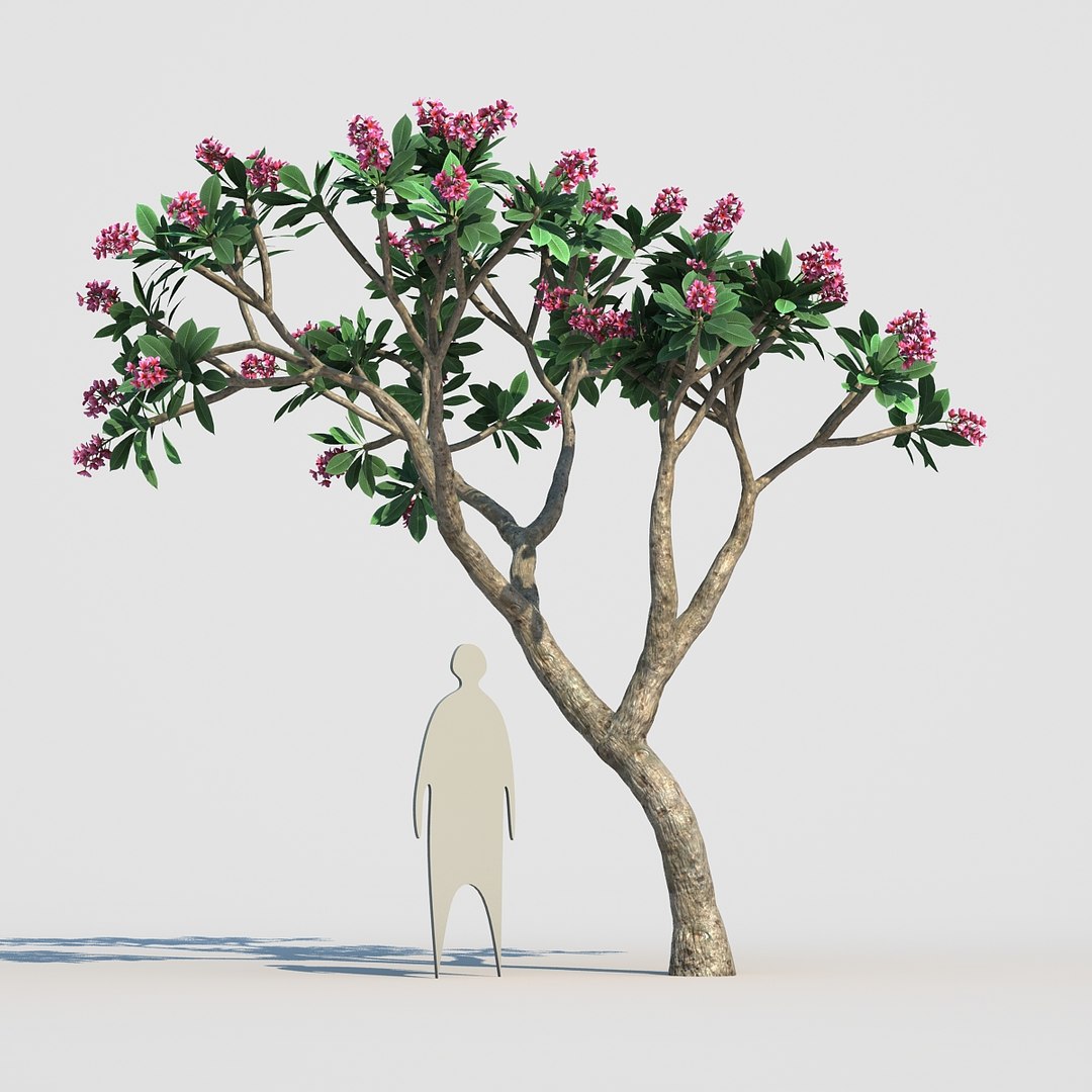 Flower 10 Tree Model - TurboSquid 1154593