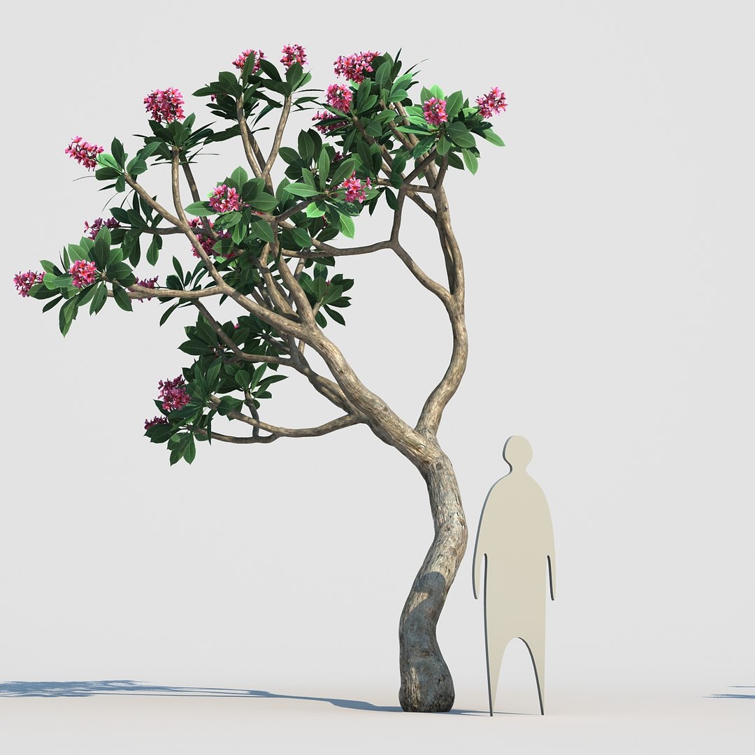 Flower 10 Tree Model - TurboSquid 1154593