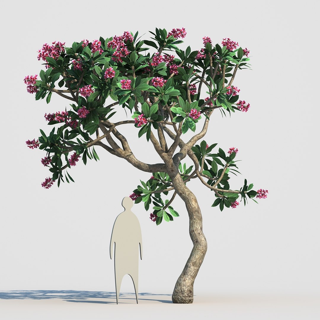 Flower 10 Tree Model - TurboSquid 1154593
