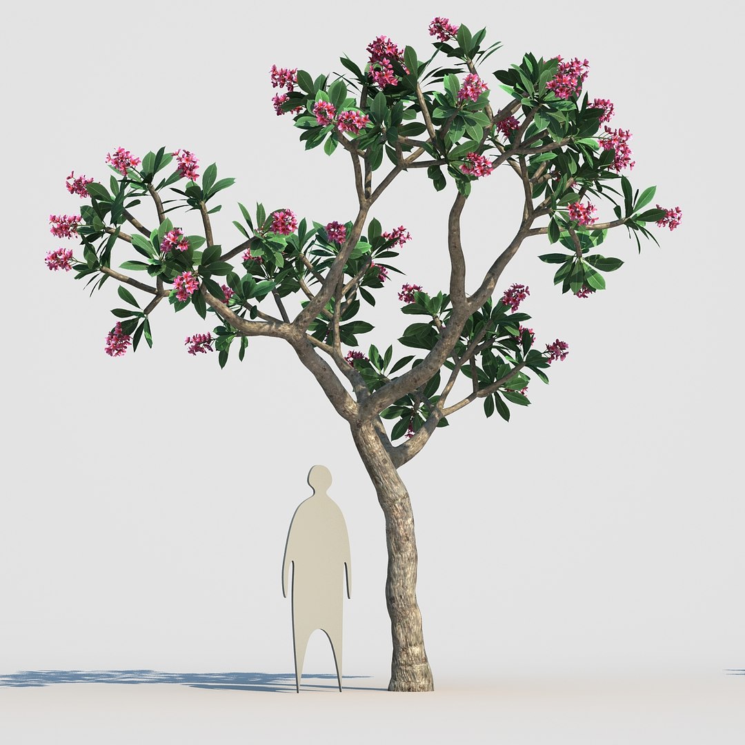 Flower 10 Tree Model - TurboSquid 1154593
