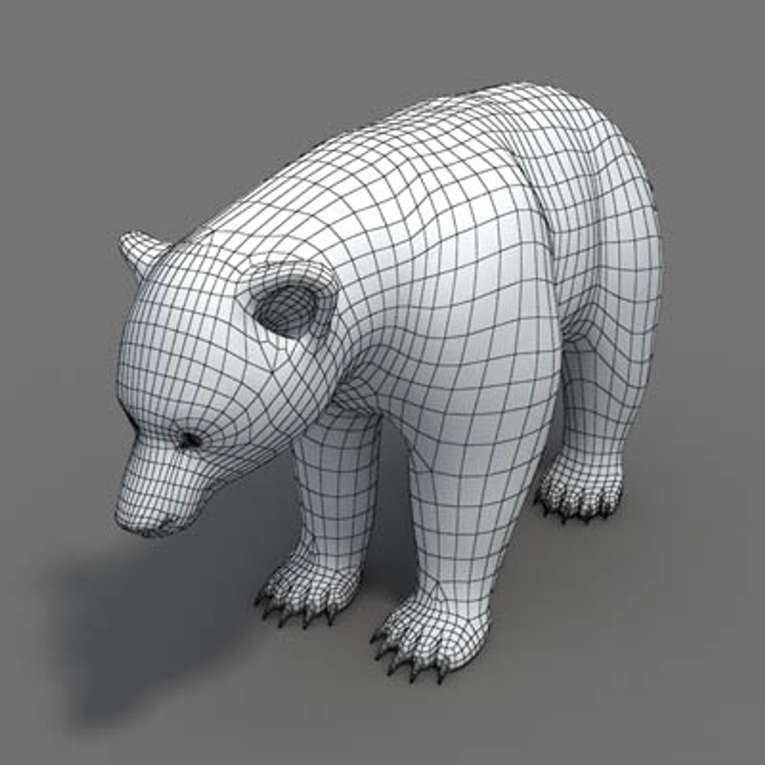 american black bear 3d model