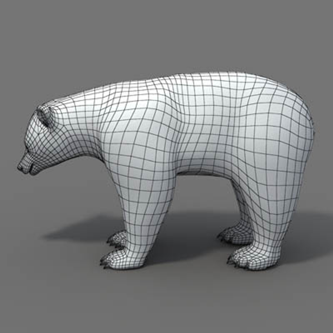 american black bear 3d model