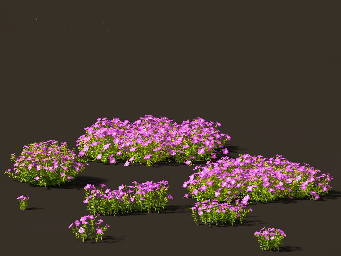 3D Vinca Minor - Common Periwinkle Model - TurboSquid 2141657