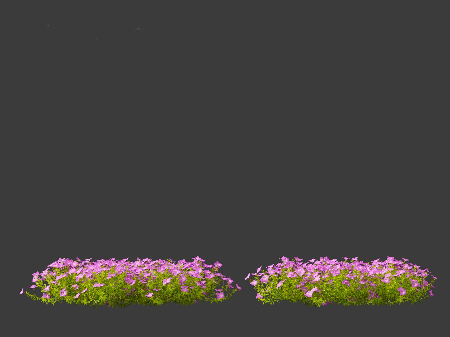 3D Vinca Minor - Common Periwinkle Model - TurboSquid 2141657