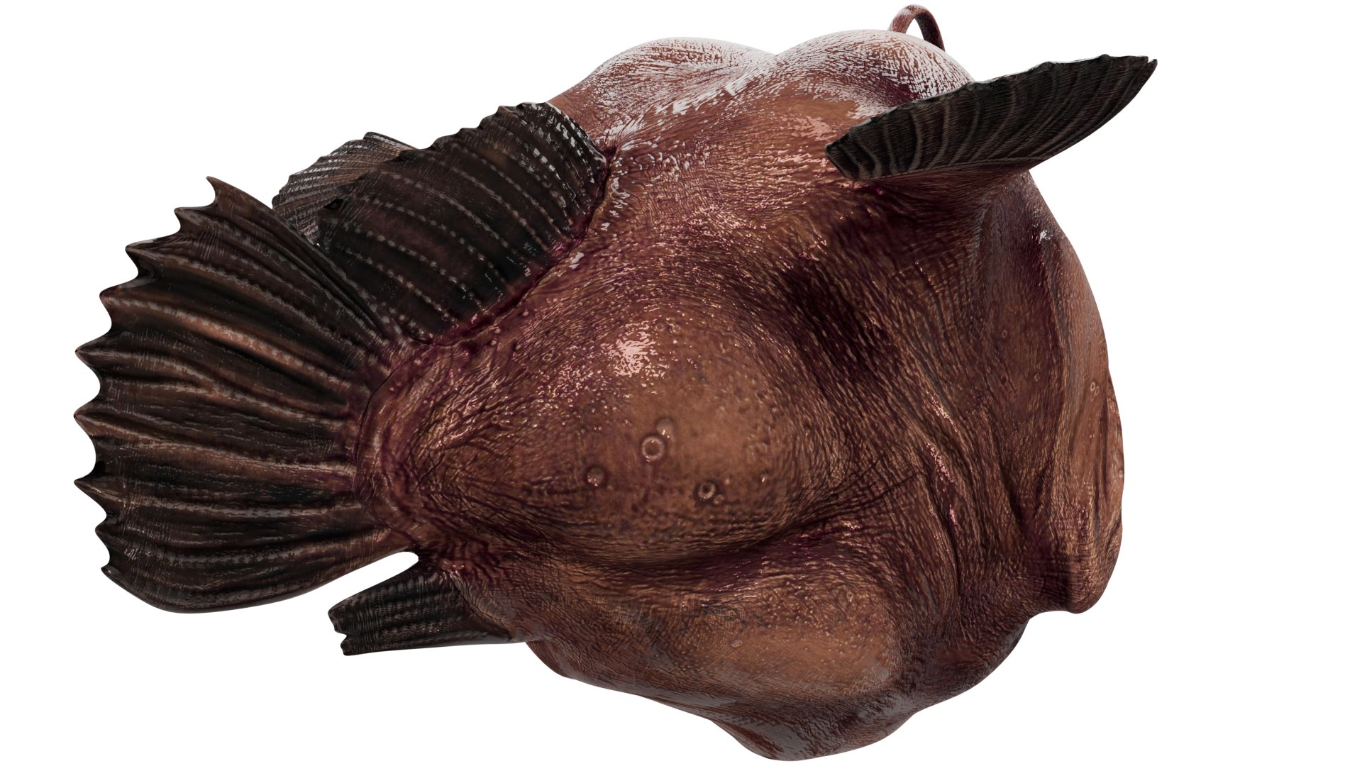3D Angler Fish - TurboSquid 2387696