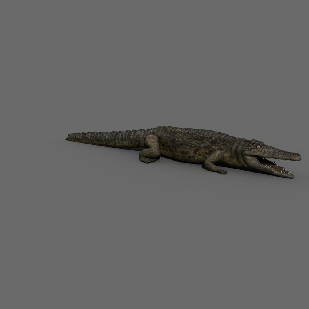 3d Model Realistic Crocodile Rigged