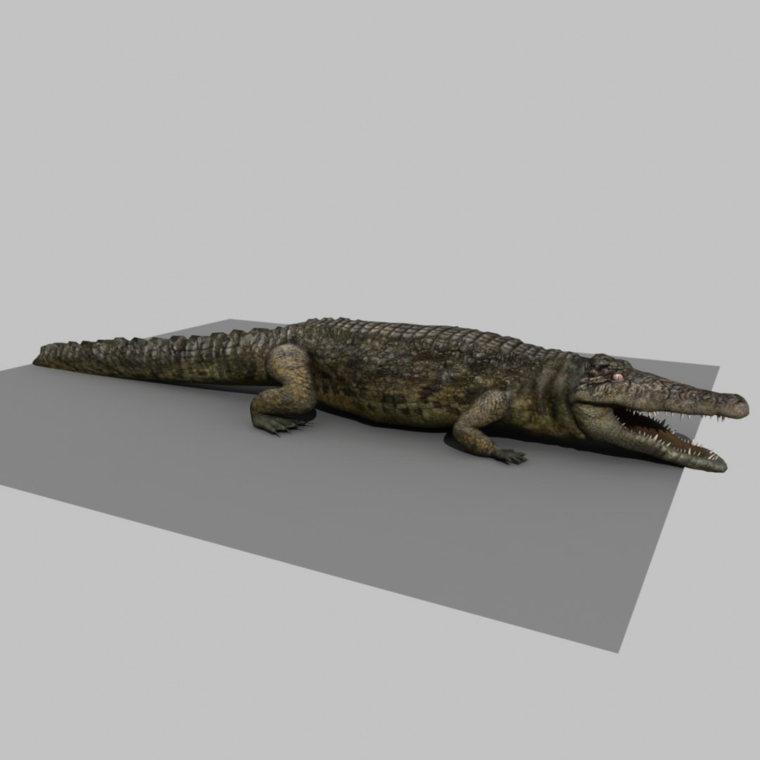 3d Model Realistic Crocodile Rigged