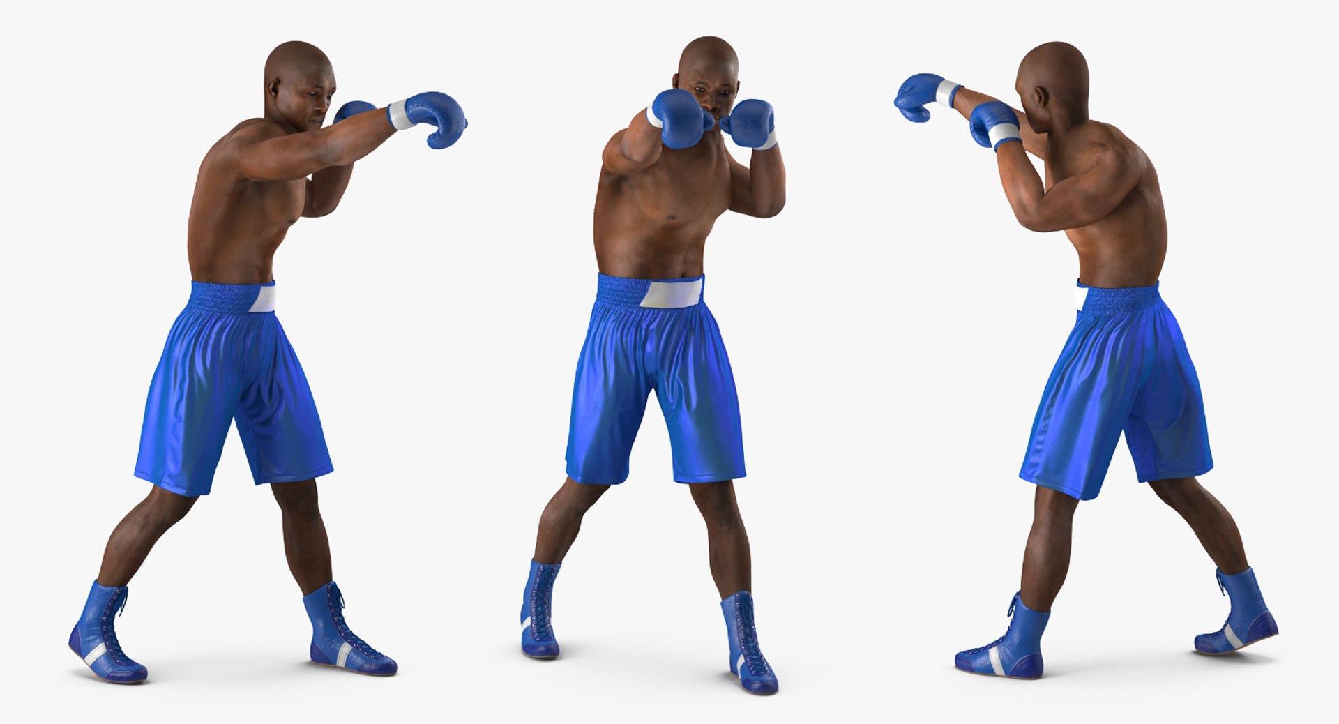 3d Model African American Boxer 2