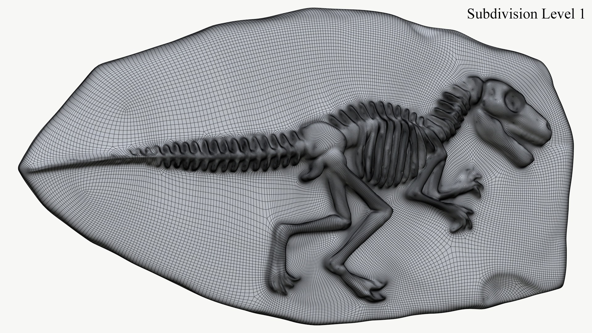 Dinosaur Fossil 003 Textured 3D Model - TurboSquid 2298221