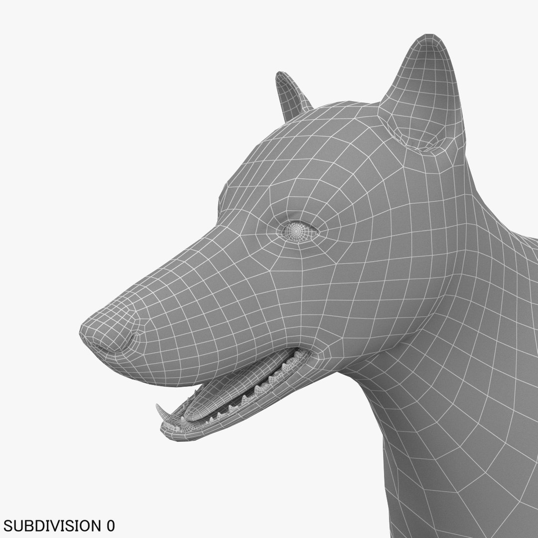 3d Wolf