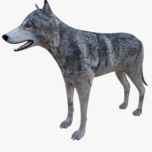 modelo 3d Lobo - TurboSquid 1094950
