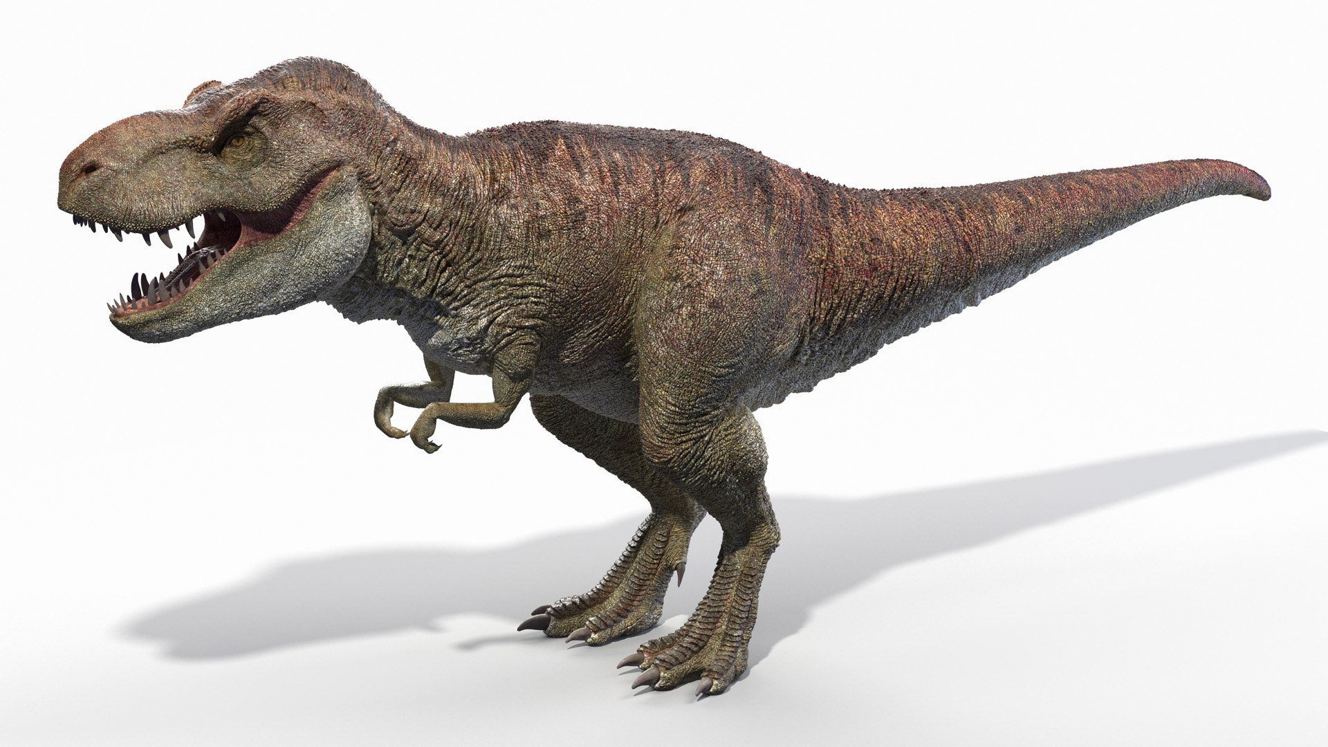 Tyrannosaurus Rex 3D - TurboSquid 1960036