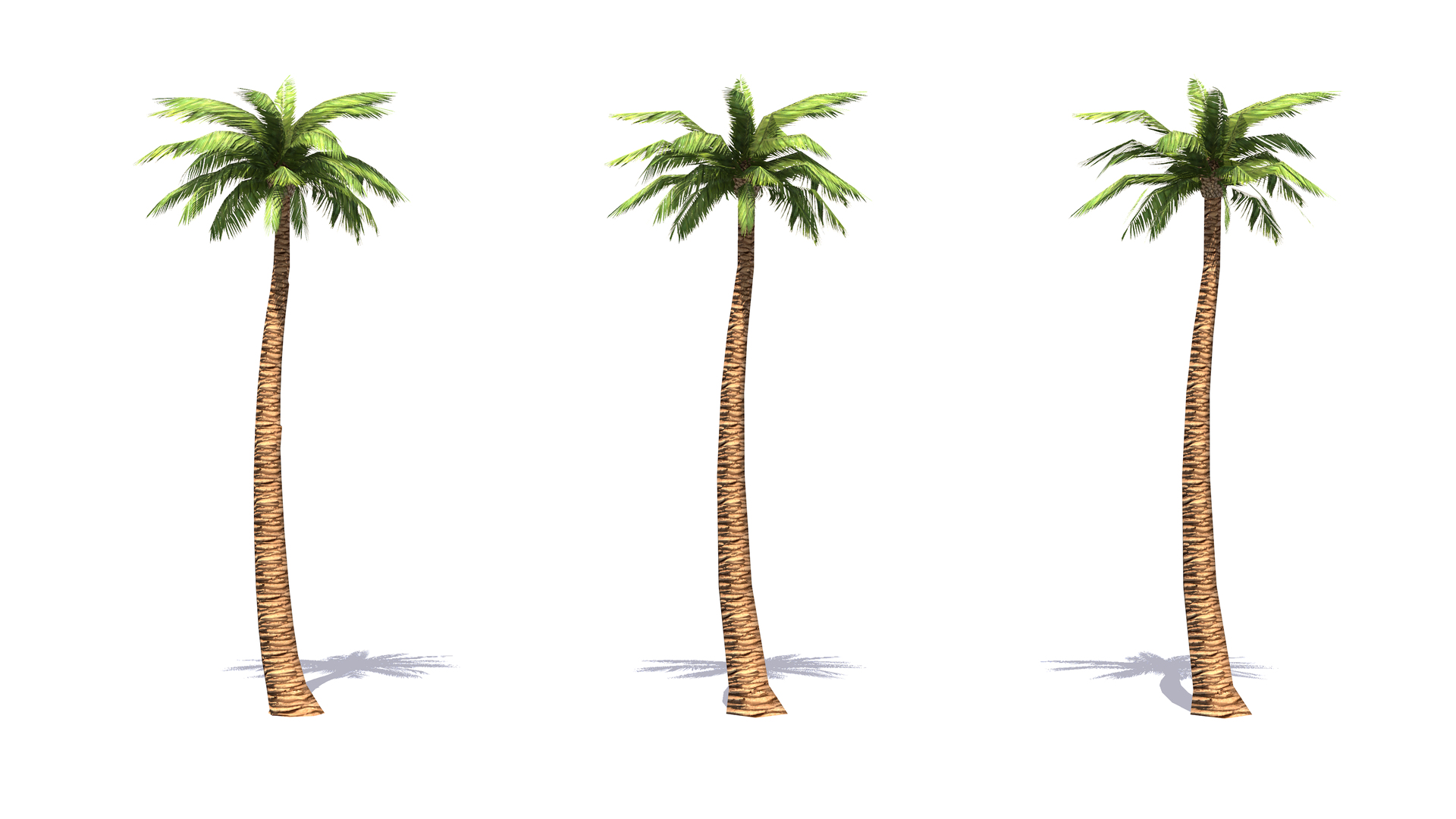 Palm Trees Low Poly Game Ready 3D Model - TurboSquid 1999181