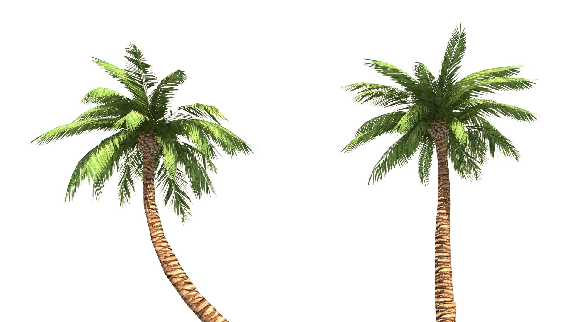 Palm Trees Low Poly Game Ready 3D Model - TurboSquid 1999181