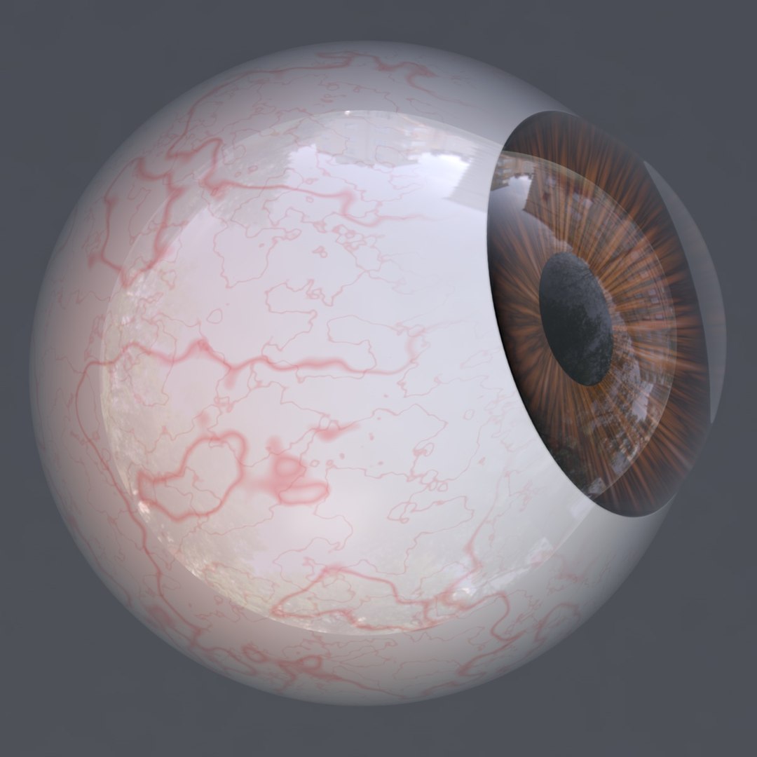 Eye Realistic Human Characters Model - TurboSquid 1437803