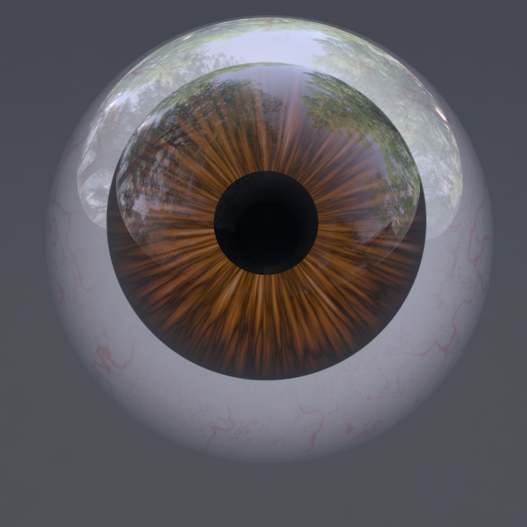 Eye Realistic Human Characters Model - TurboSquid 1437803