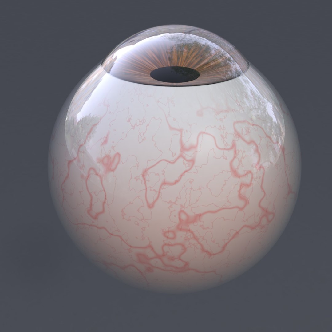 Eye Realistic Human Characters Model - TurboSquid 1437803