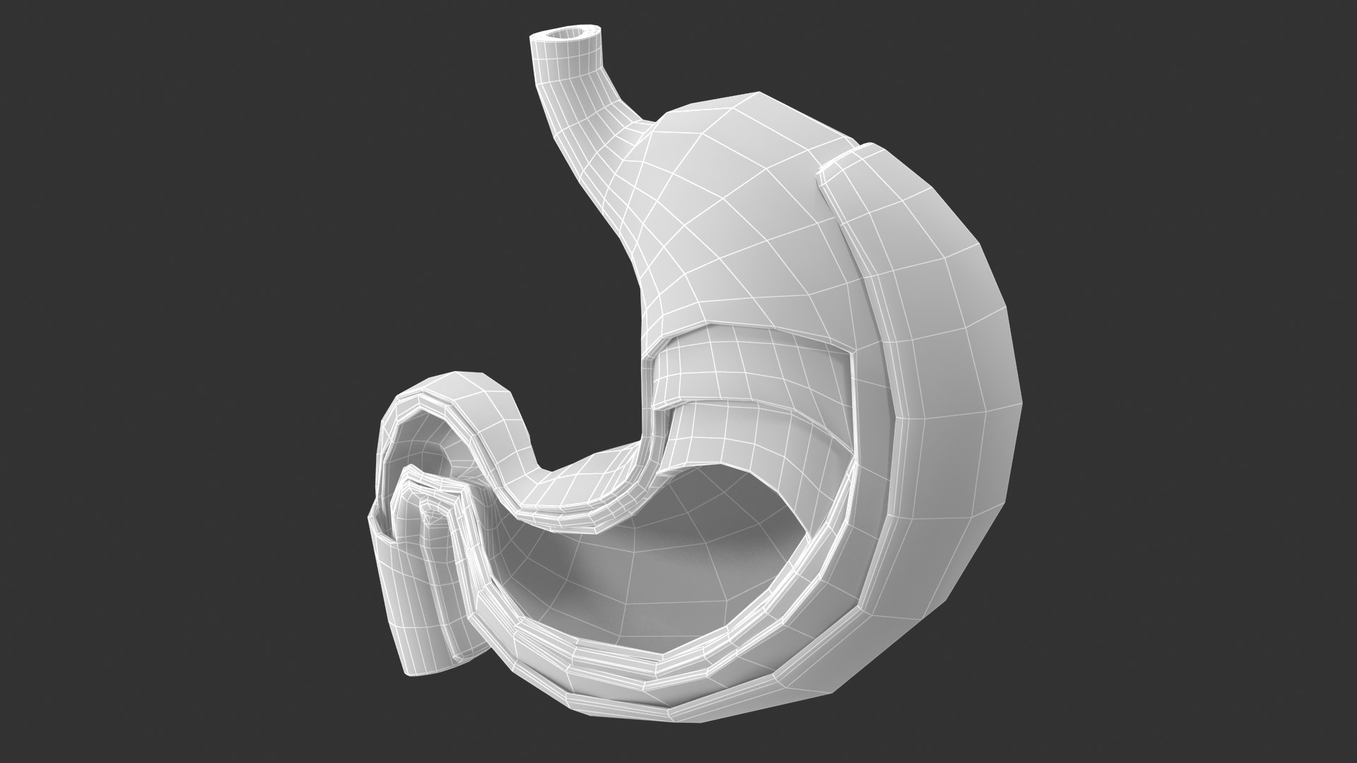 3D Model Stomach Anatomy - TurboSquid 1669904