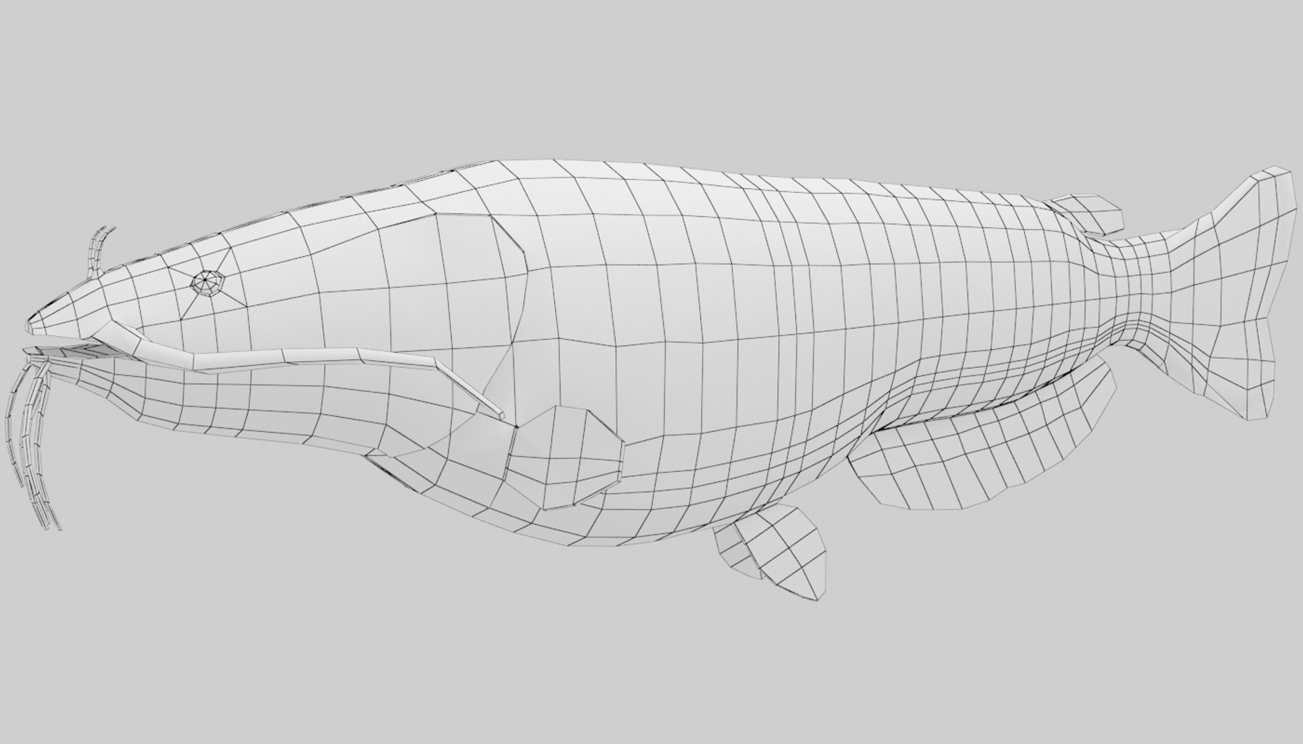 3D Blue Catfish Fish - TurboSquid 1276628