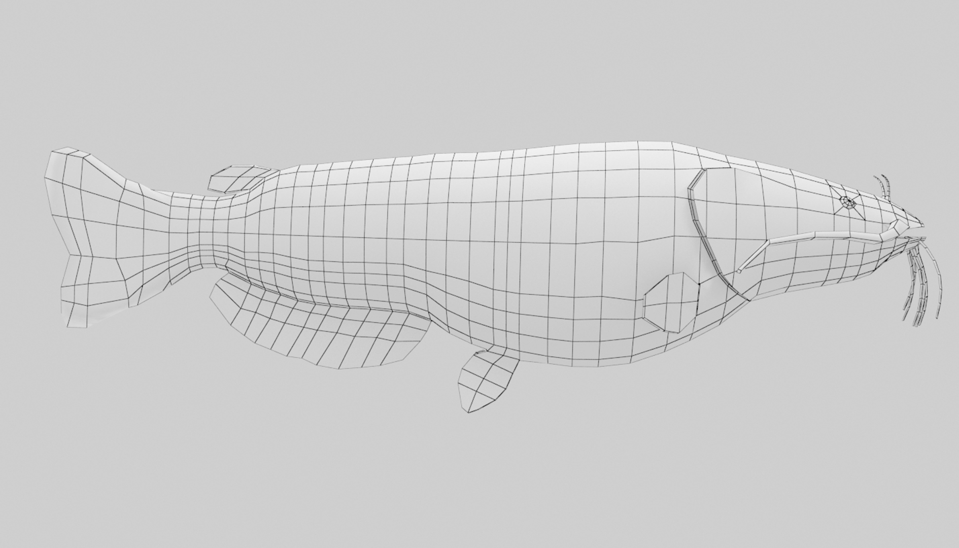3D Blue Catfish Fish - TurboSquid 1276628