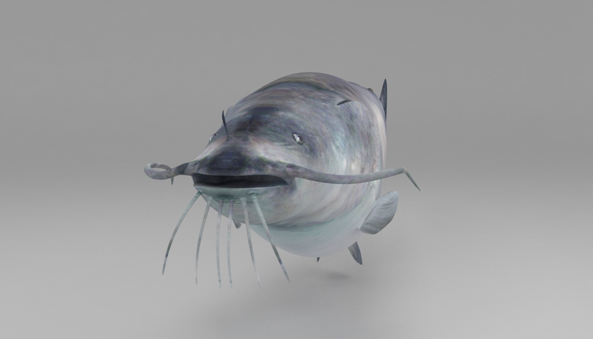 3D Blue Catfish Fish - TurboSquid 1276628