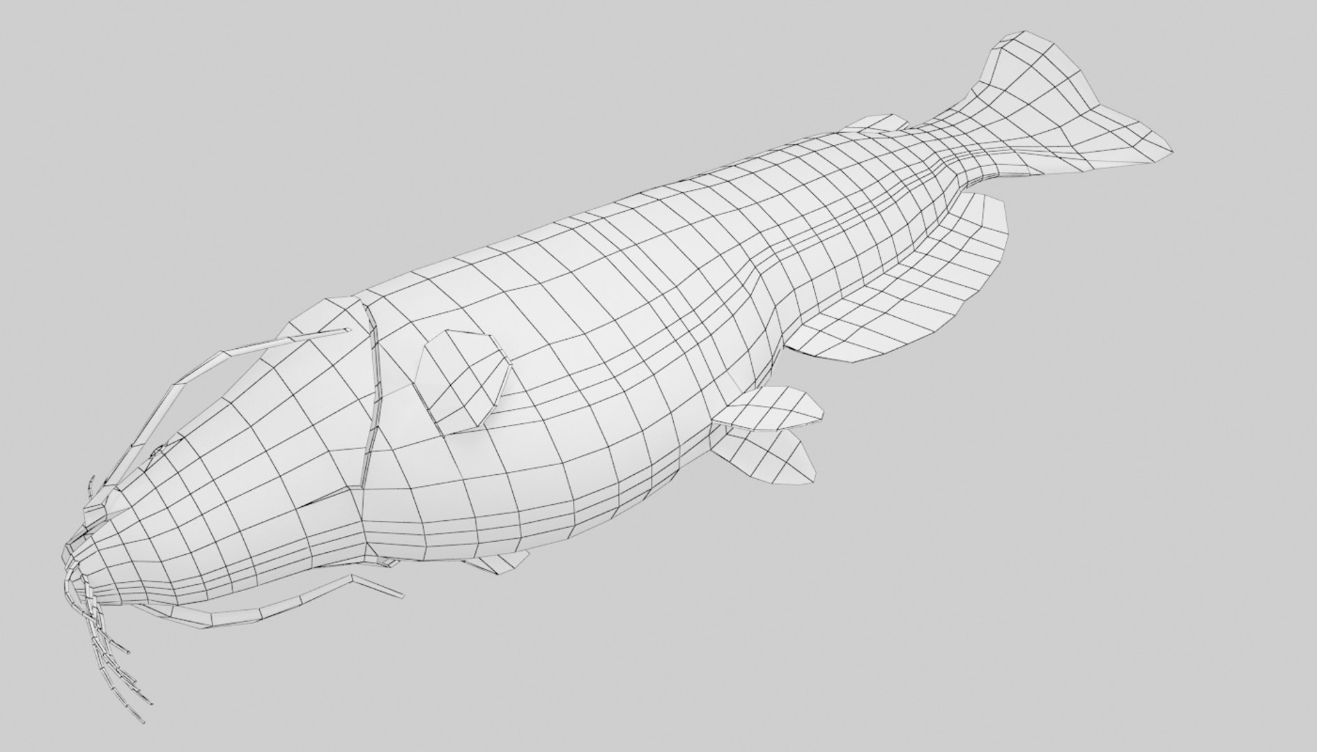 3D Blue Catfish Fish - TurboSquid 1276628