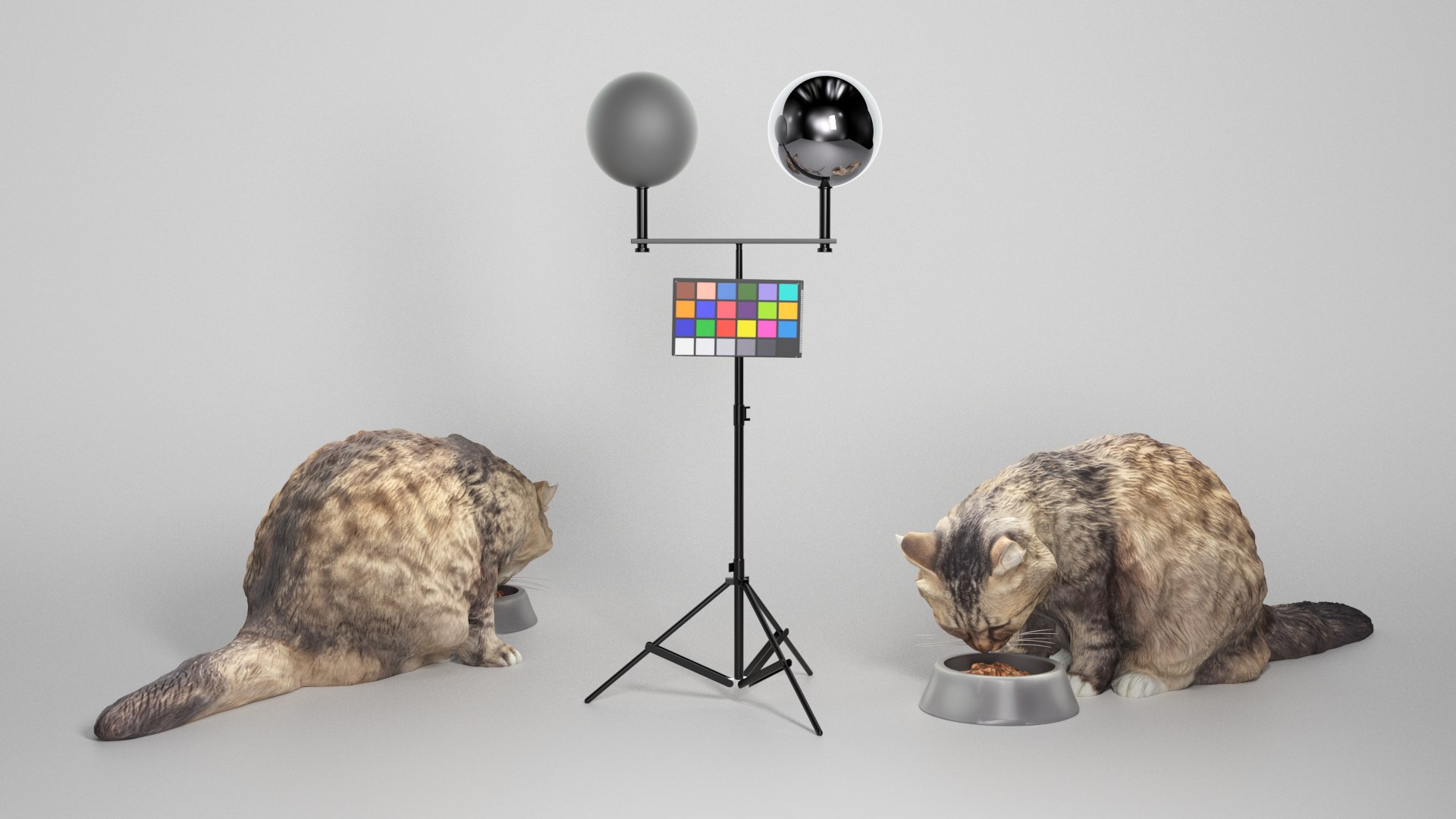 Fluffy Cat 22 Model - TurboSquid 1780597