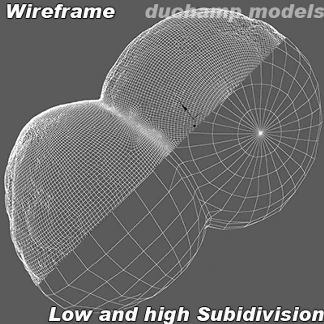 3d Dividing Cell Model