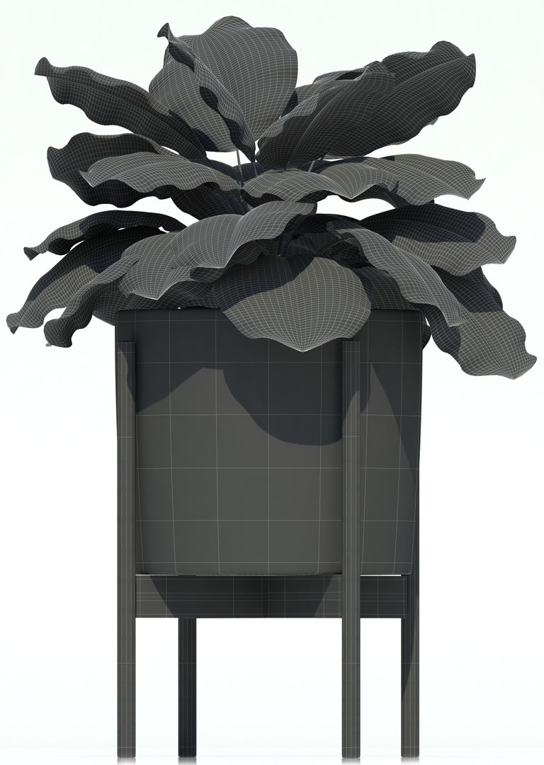 Plants 69 modernica pots 3D model - TurboSquid 1226959