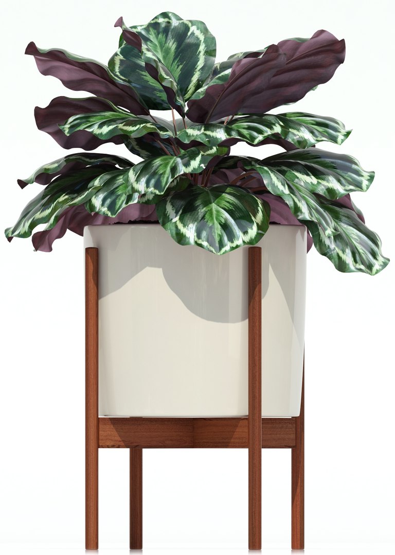 Plants 69 modernica pots 3D model - TurboSquid 1226959
