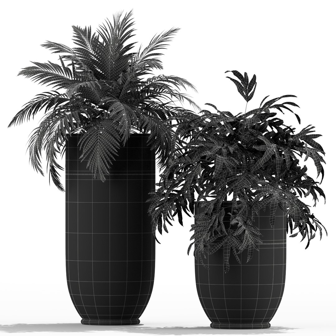 Plants 233 Longhi Godwin 3D - TurboSquid 1528014