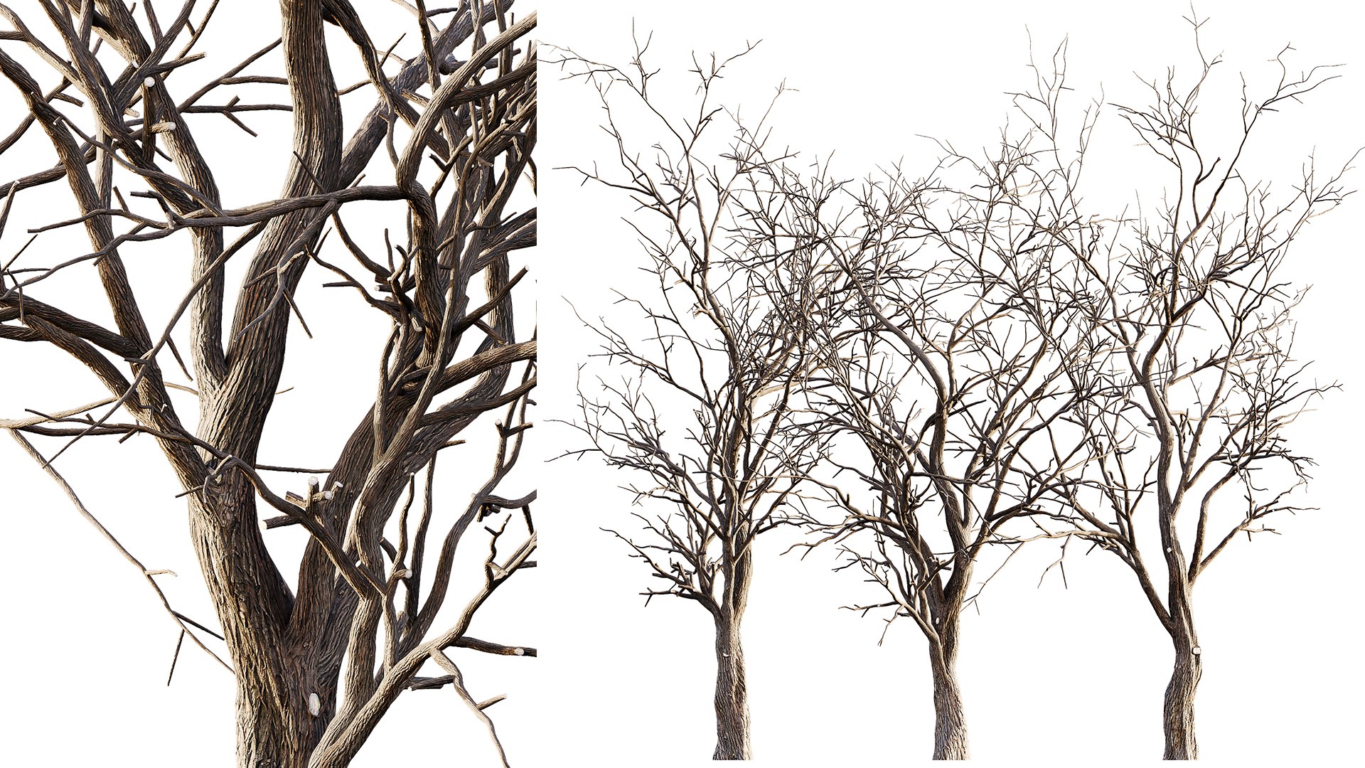 3D AV Winter Dry Tree Model - TurboSquid 2342415