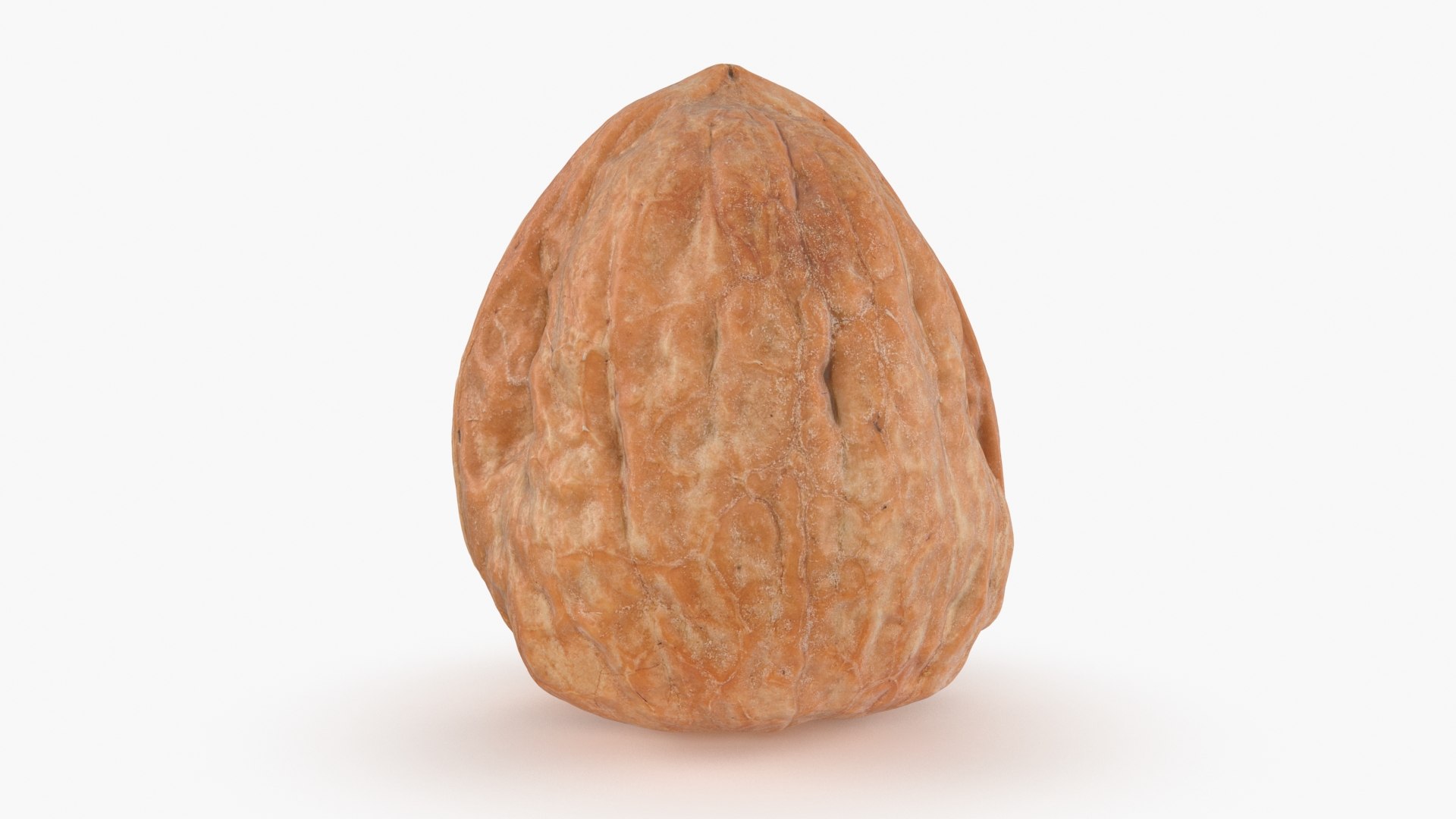 Walnut Shell 04 Model - TurboSquid 2016231