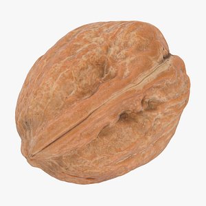 3D Walnut Models - Browse & Download Formats - TurboSquid