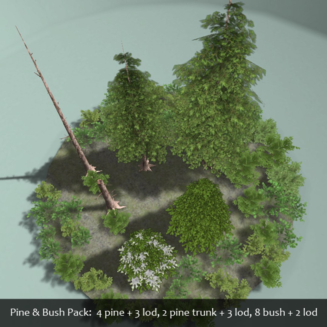 Pine Tree Bush 3d Model