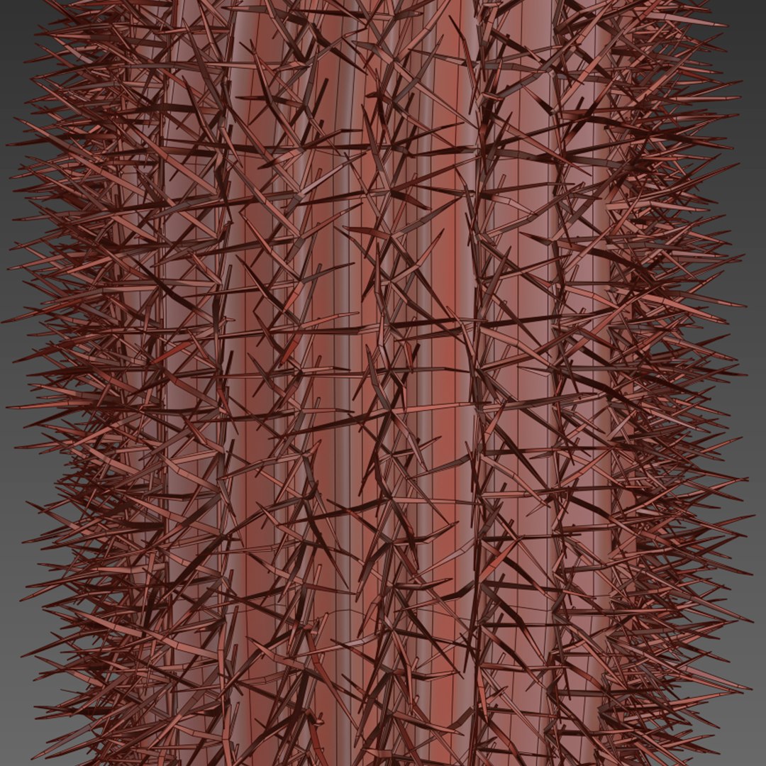 Ferocactus Pilosus 3D Model - TurboSquid 1950350