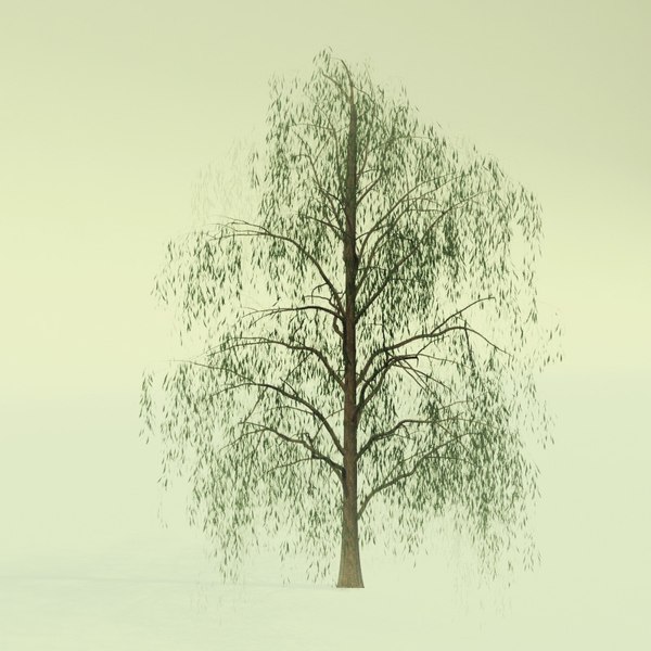 3d model summer trees