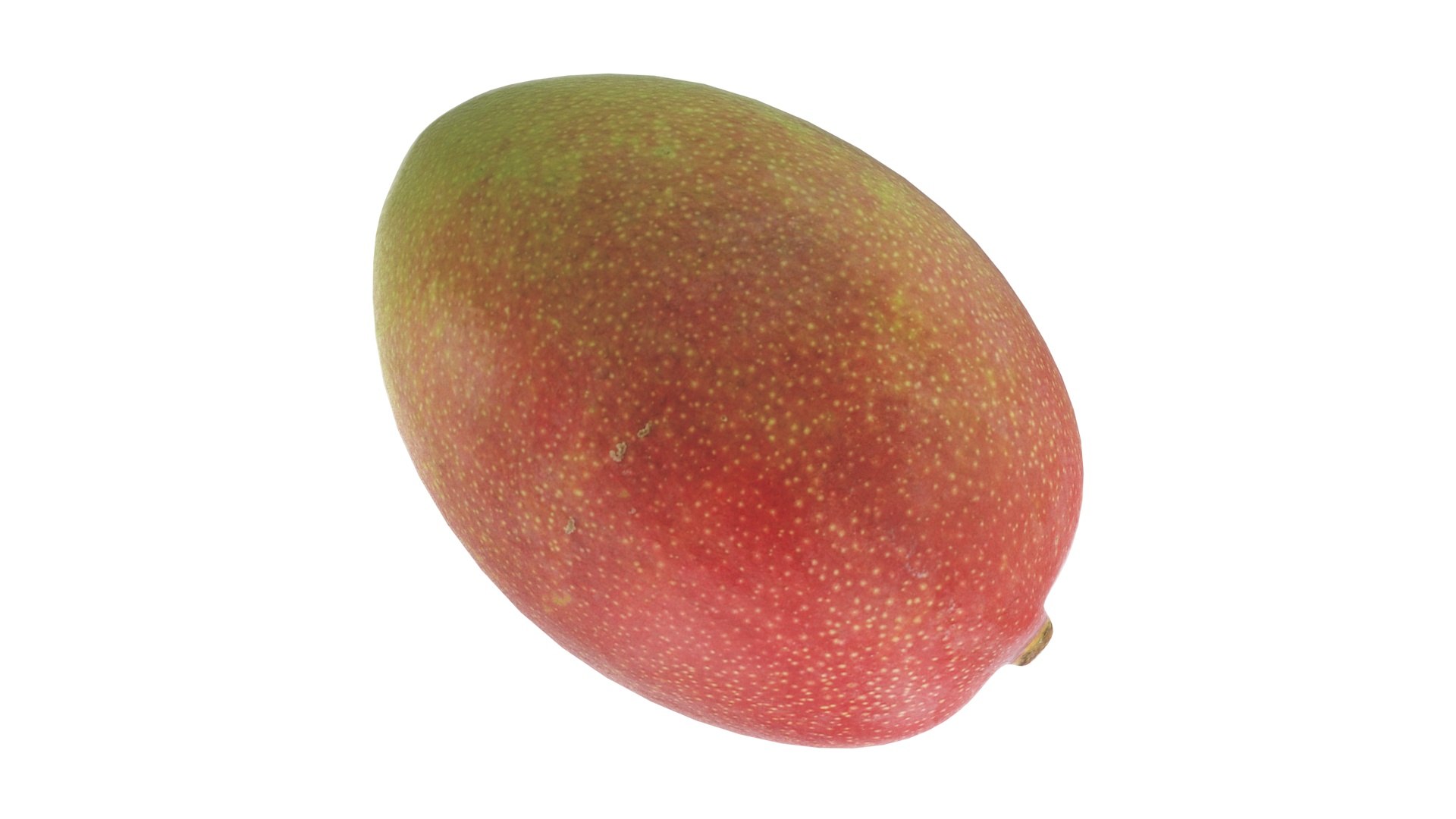 3D model Mango - TurboSquid 1879145