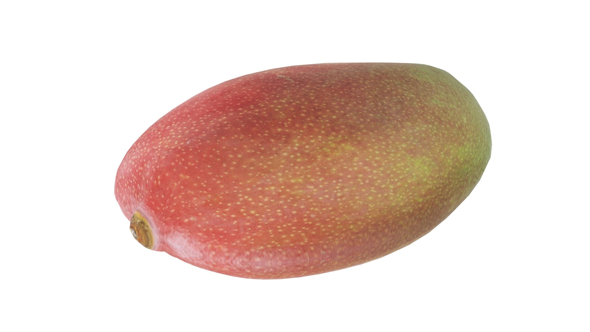 3D model Mango - TurboSquid 1879145