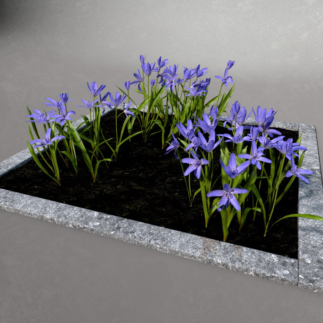 Flower Decorate Springtime Obj