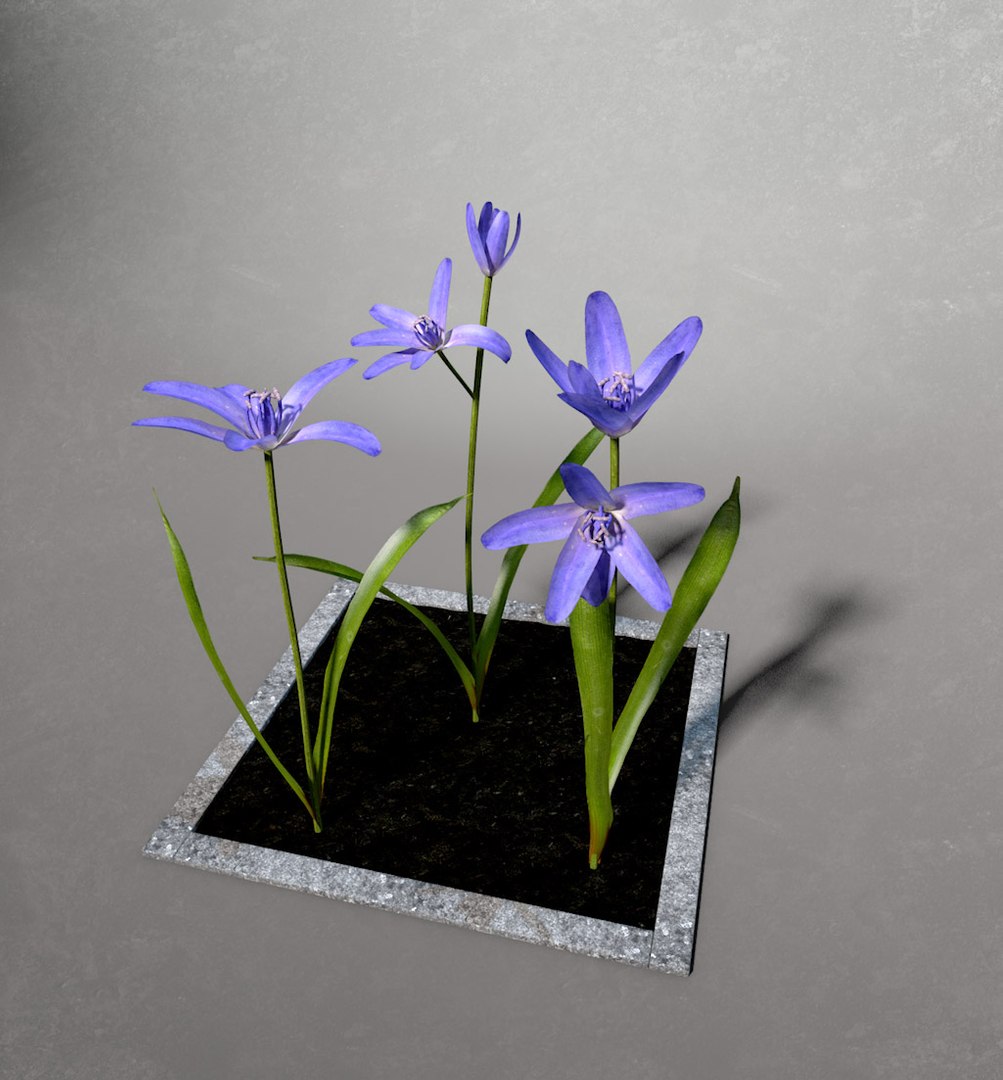 Flower Decorate Springtime Obj